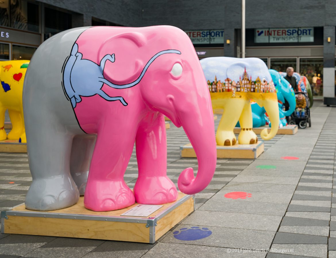 Olifanten Parade op Pieter Vreedeplein • Tilburgers.nl • Cultuur